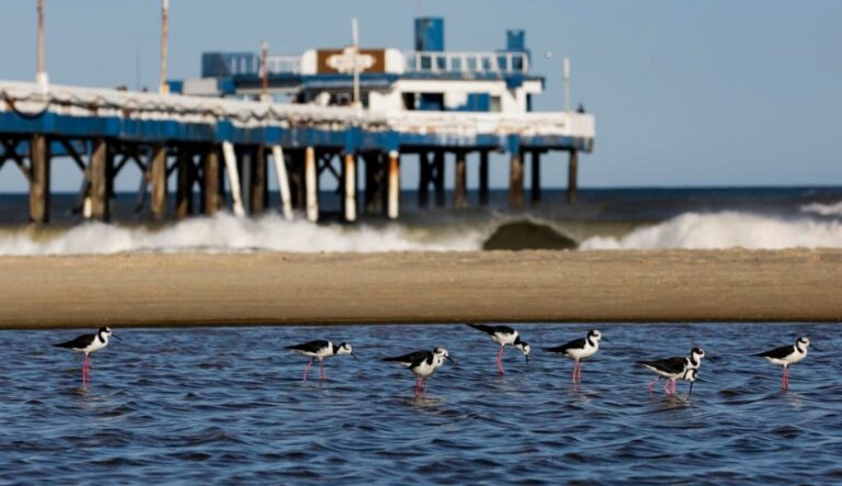 Top 10 Melhores Praias do Rio Grande do Sul para Conhecer
